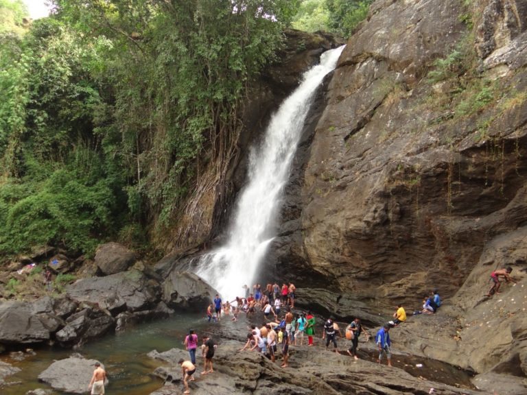 “Wayanad - abundantly blessed by nature” | Travelholicq