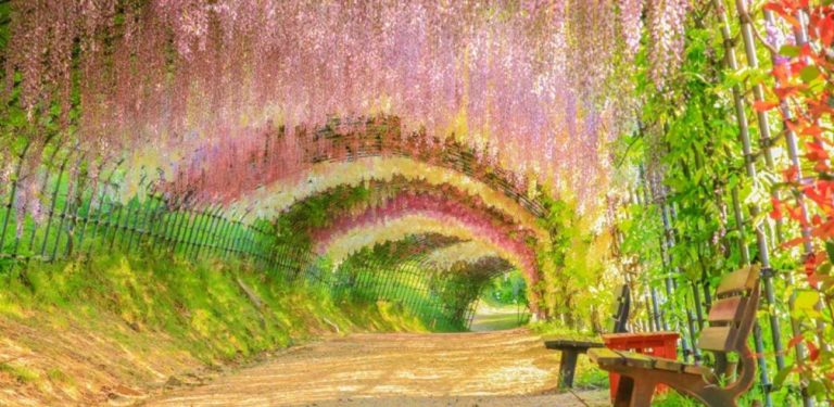 Most Colourful Natural Places In Asia | Travelholicq