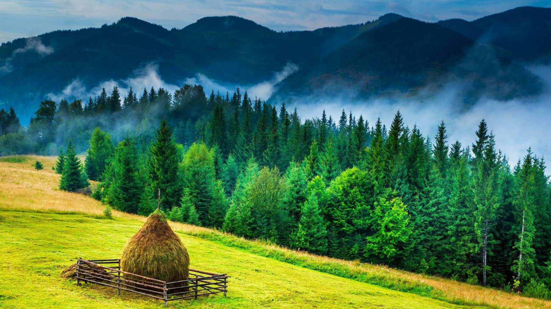 Beautiful Places To Visit In Moldova | Travelholicq