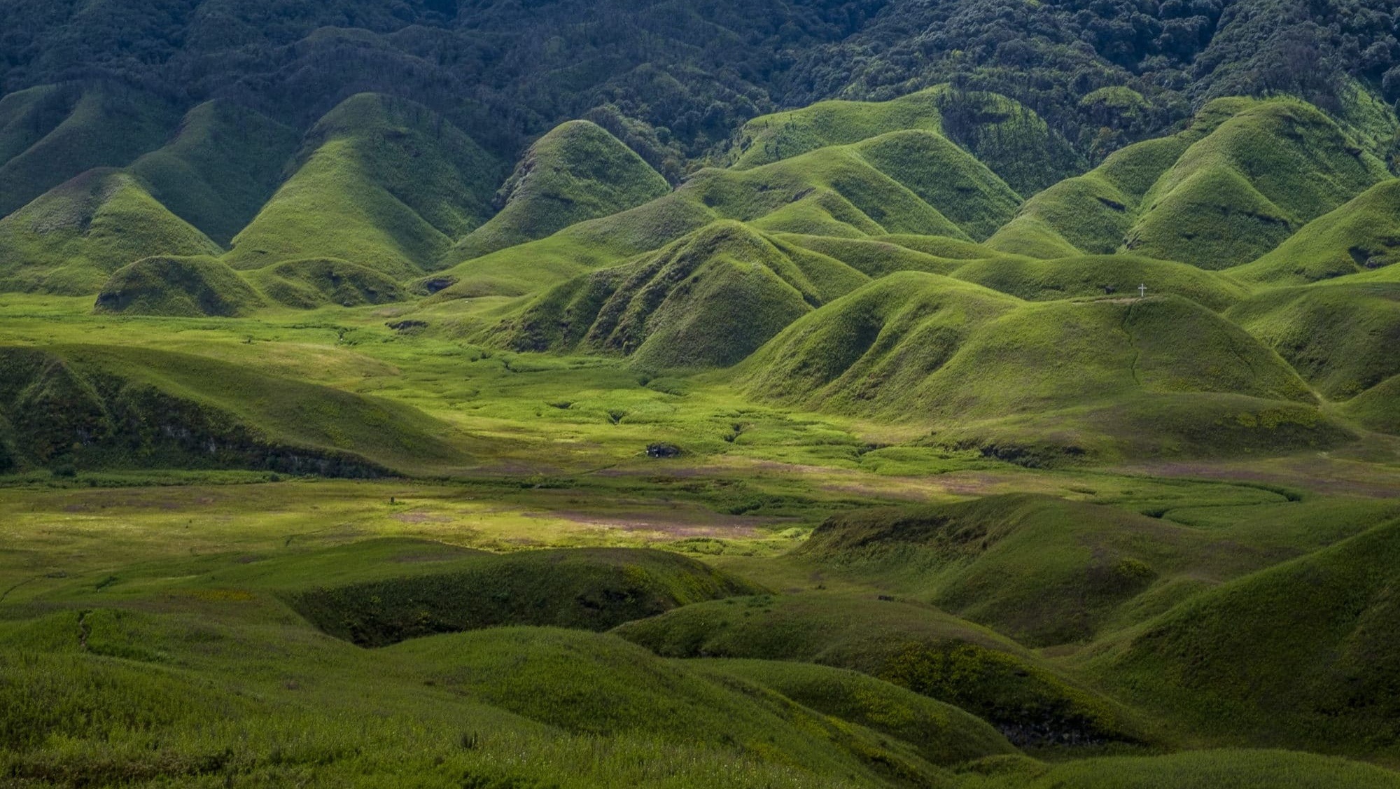 8 Amazing Places To Visit In Kohima | Travelholicq