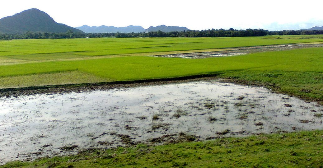 18 Mesmerizing Places To Visit In Assam | Travelholicq