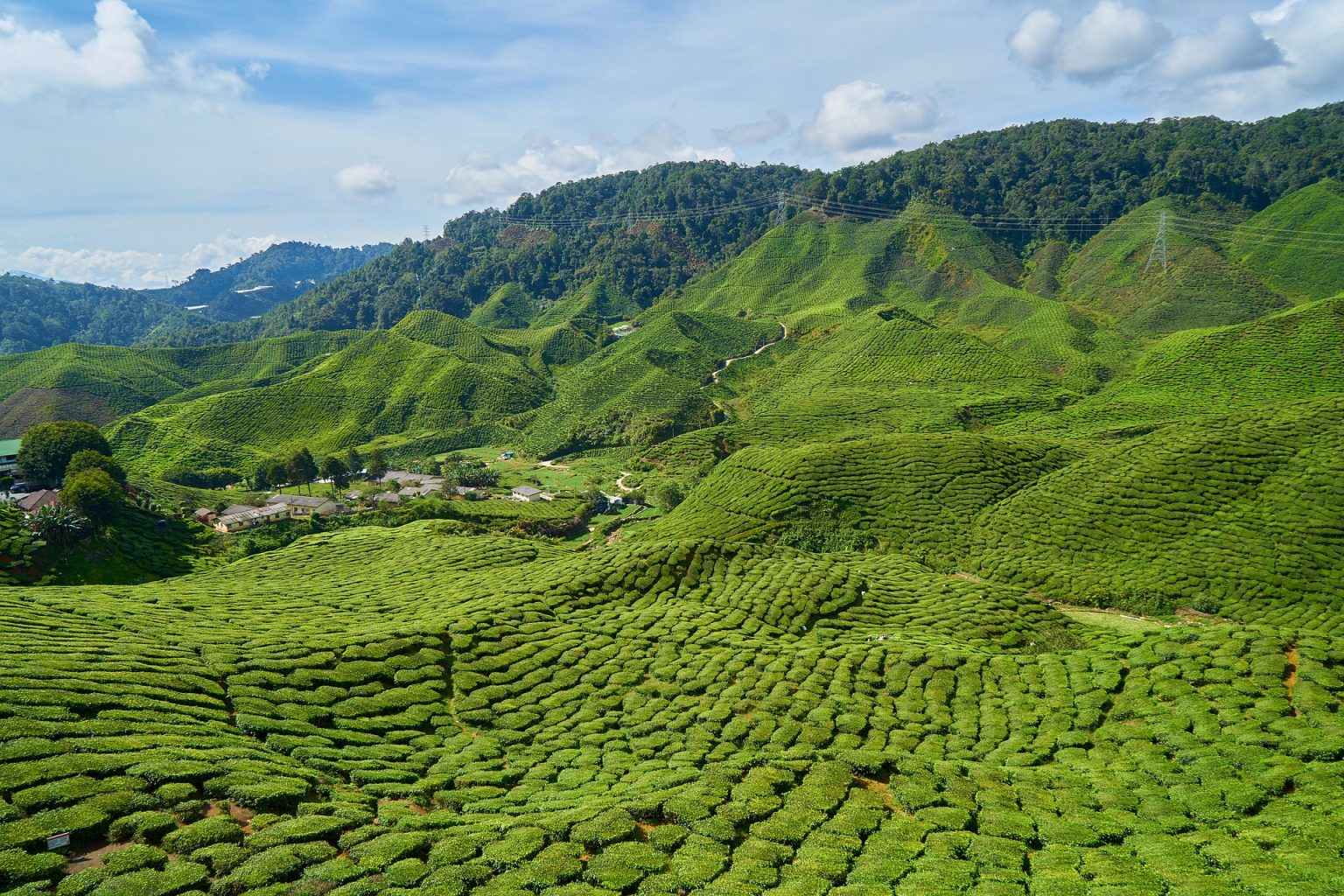 18 Mesmerizing Places To Visit In Assam Travelholicq 18 Mesmerizing Places To Visit In Assam Travelholicq