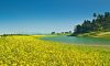 18 Mesmerizing Places To Visit In Assam | Travelholicq