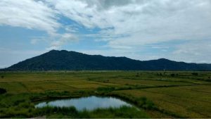 18 Mesmerizing Places To Visit In Assam | Travelholicq